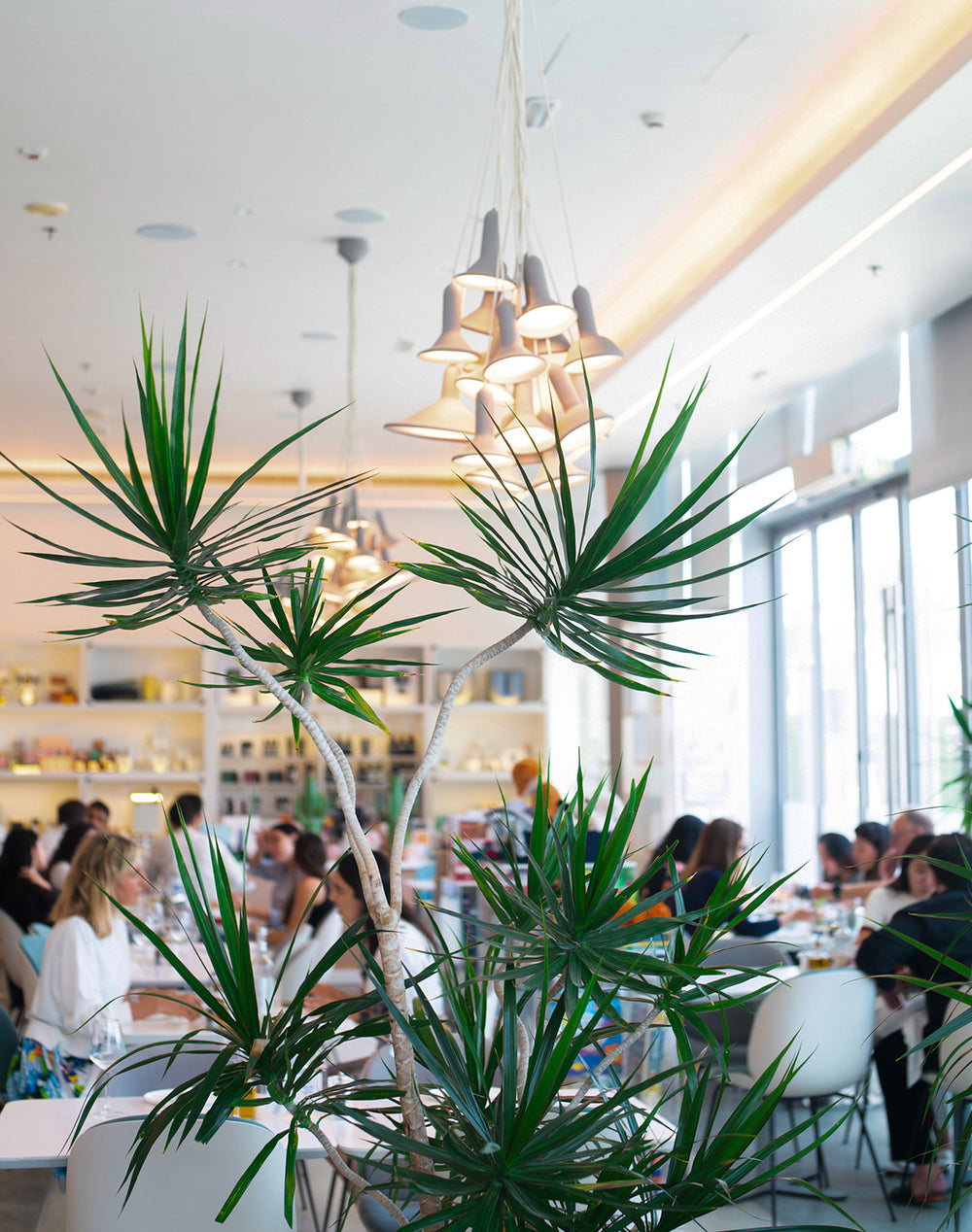 Restaurants – The Lighthouse