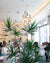 Restaurants – The Lighthouse