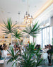 Restaurants – The Lighthouse
